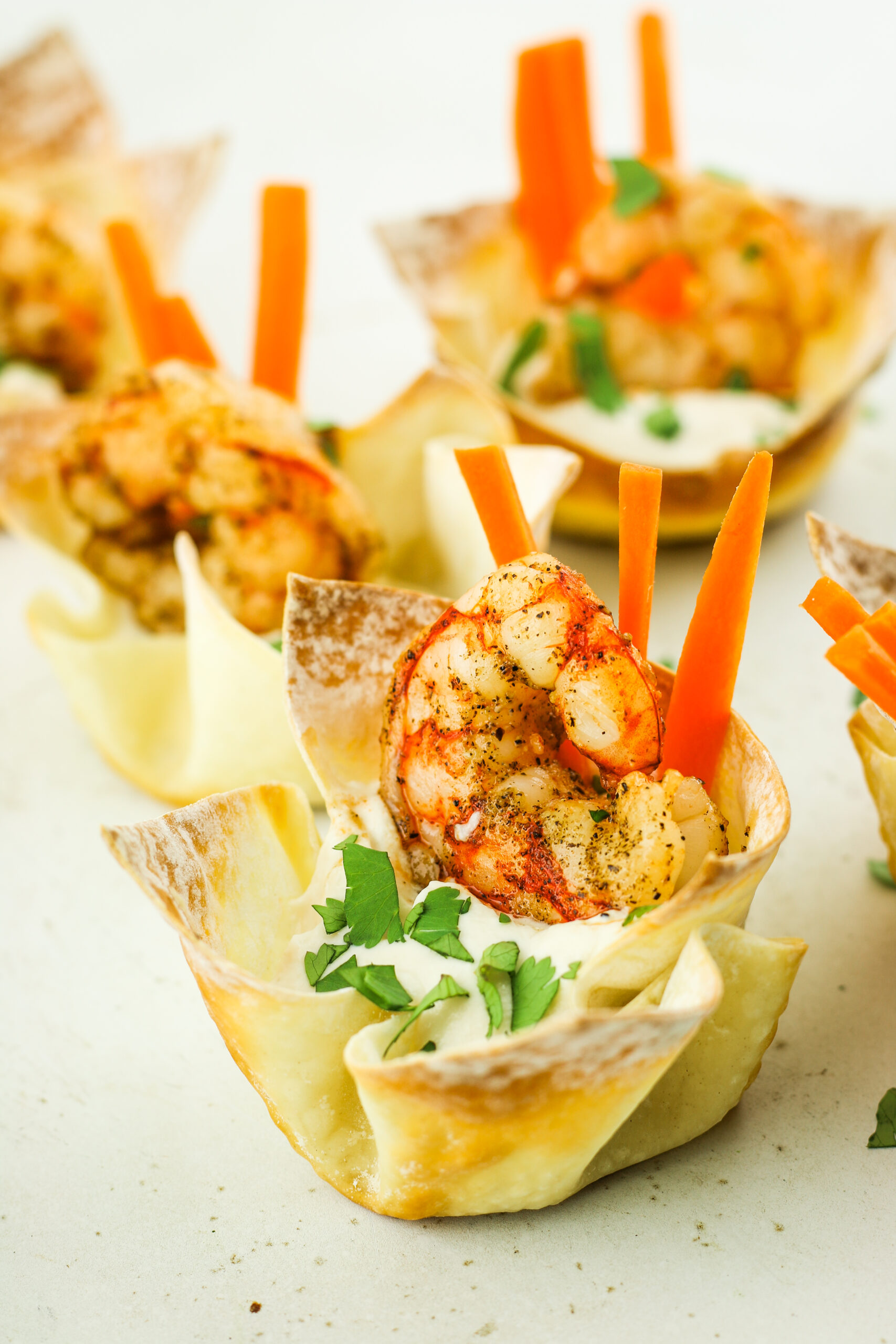 Cottage Cheese Shrimp Rangoon Wontons